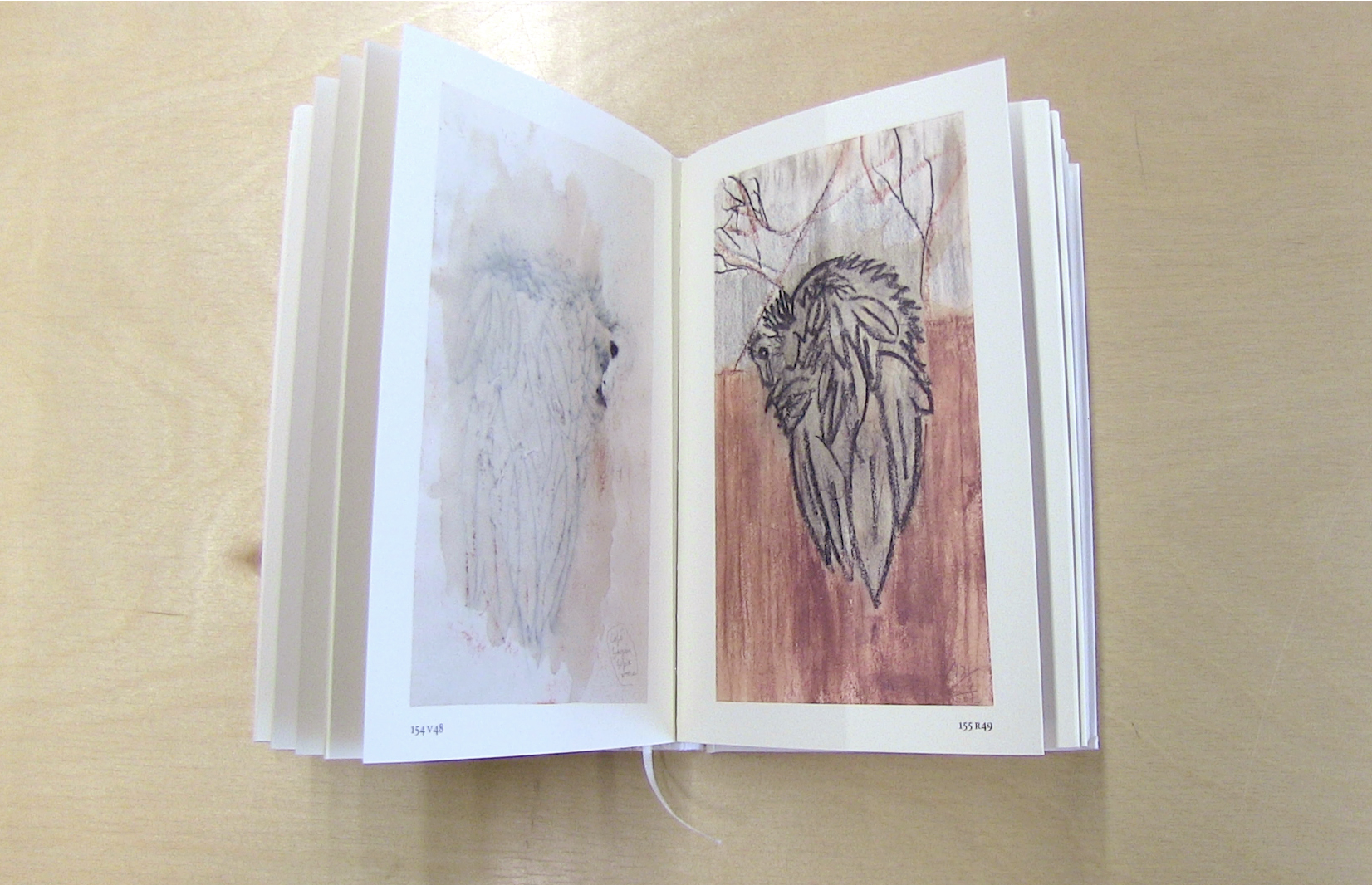 One Hour, One Book: Emmelyne Pornillos | Artexte